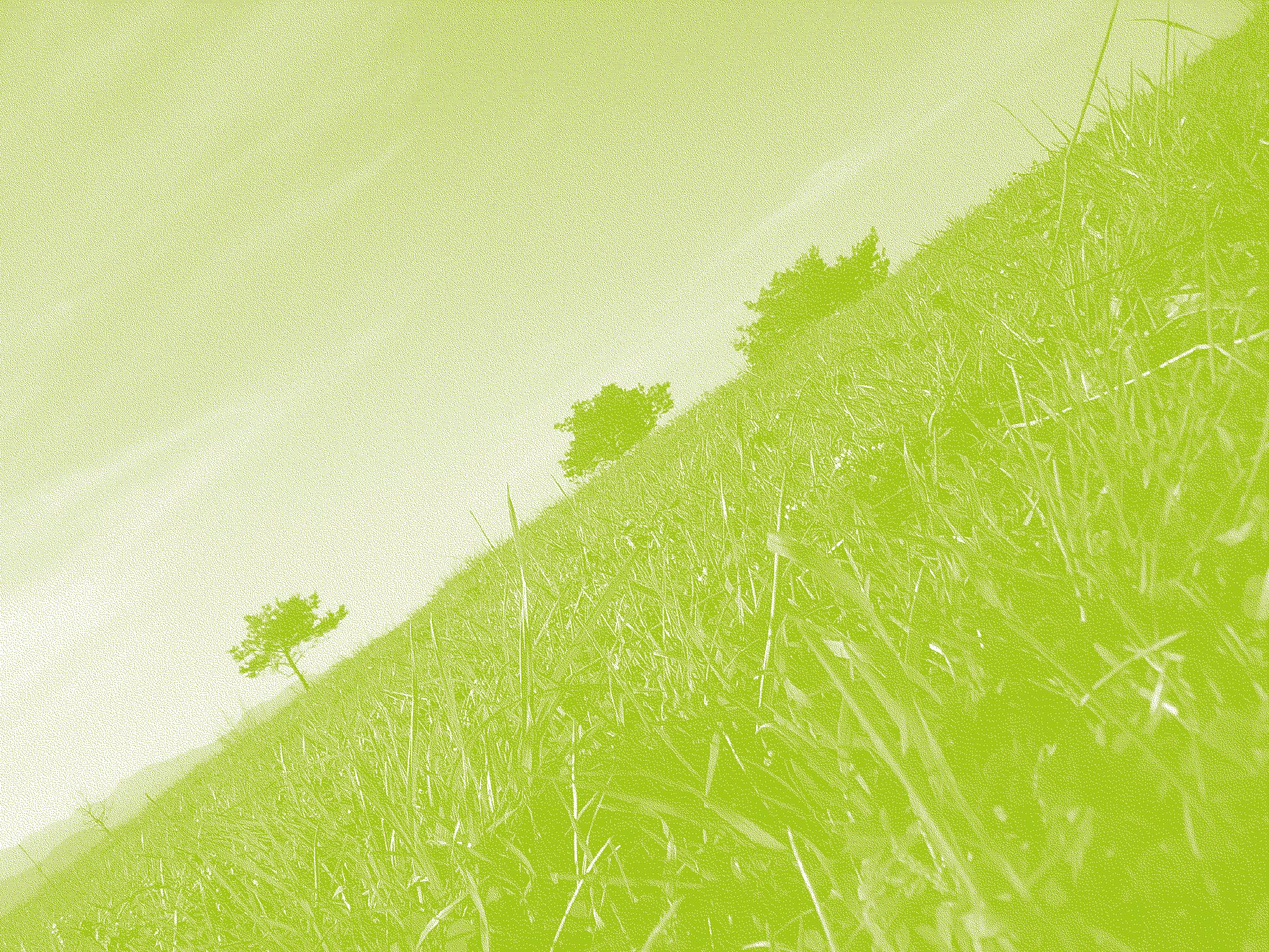 La soirée de gala de la 44ème rencontre des agences d’urbanisme : un métissage culinaire | AUCM ...